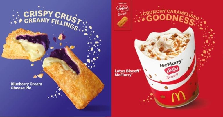 McDonald’s has new Blueberry Cream Cheese Pie & Lotus Biscoff McFlurry ...