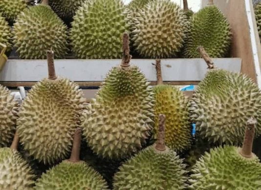 Types of durians & how to pick a good durian in 2021 durian season