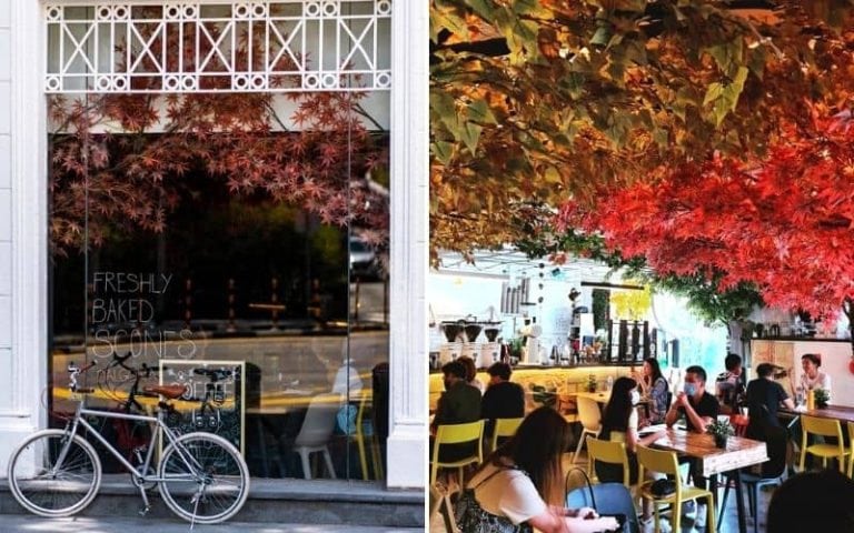 15 unique themed cafes in Singapore for a one-of-a-kind cafe experience