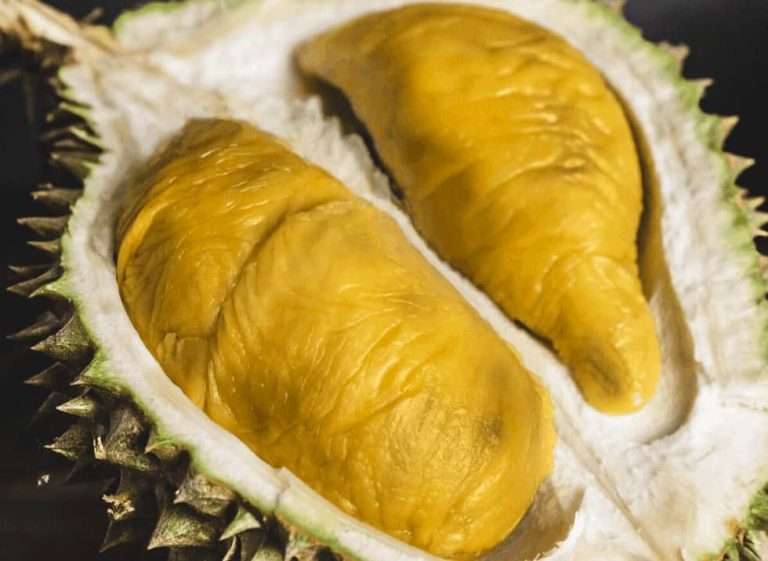 Types of durians & how to pick a good durian in 2021 durian season