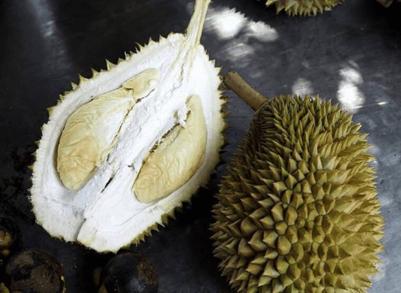 Types of durians & how to pick a good durian in 2021 durian season