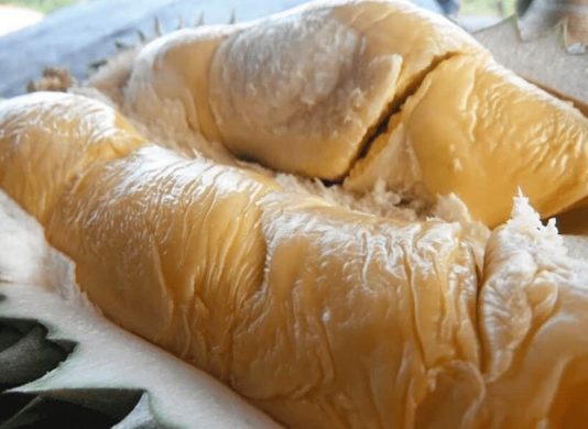 Types of durians & how to pick a good durian in 2021 durian season