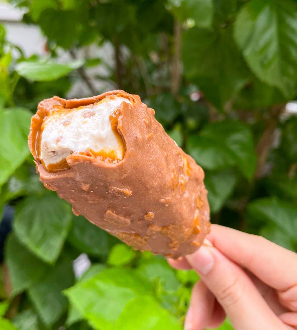 Lotus Biscoff ice cream is now available on Shopee for a limited time