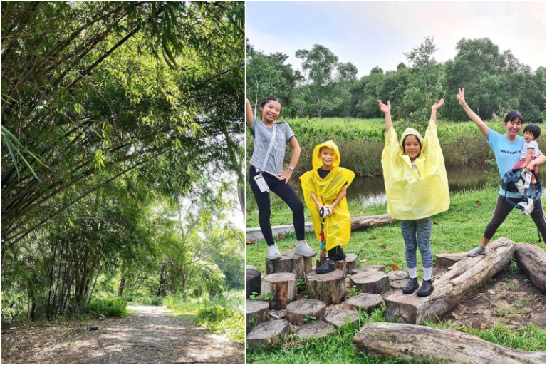 Khatib Nature Corridor is a new nature corridor in North Singapore