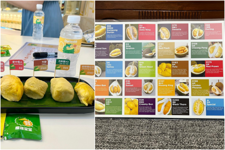 DurianBB has a 90-minute durian buffet party with free-flow musang king