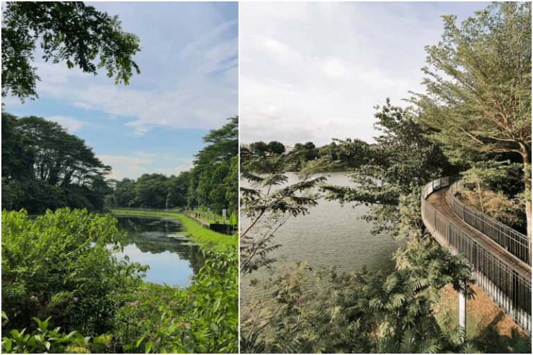 Khatib Nature Corridor is a new nature corridor in North Singapore