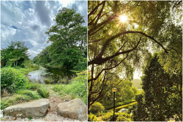 Khatib Nature Corridor is a new nature corridor in North Singapore