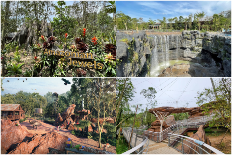 Bird Paradise is Singapore’s new bird park opening soon in 2023
