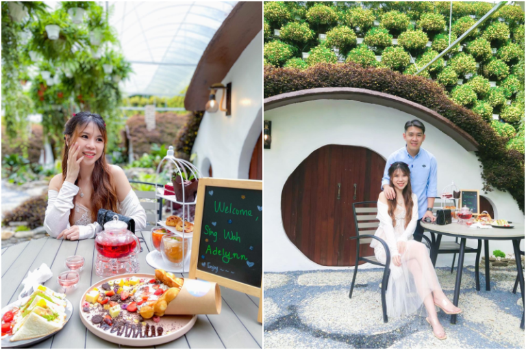 Cameron Highlands Flora Park offers stunning garden displays