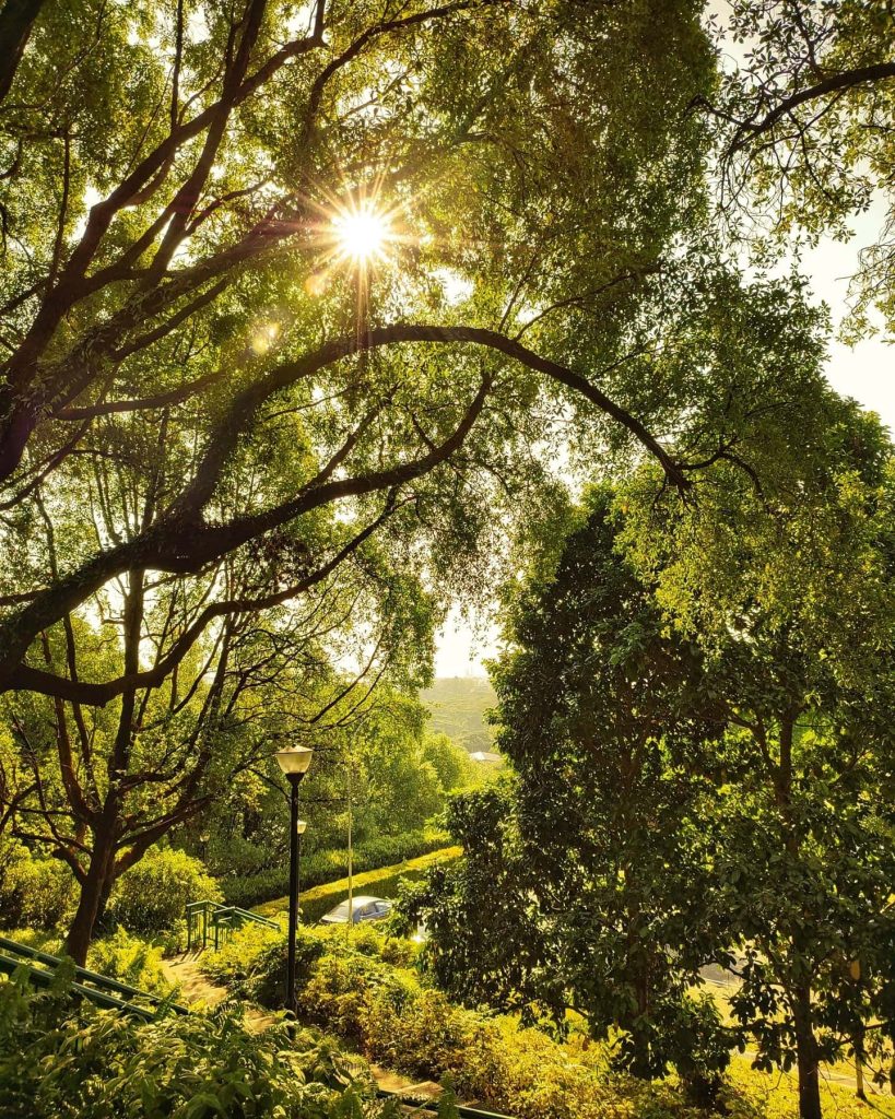 5 unique nature parks in Singapore for your next outdoors trip