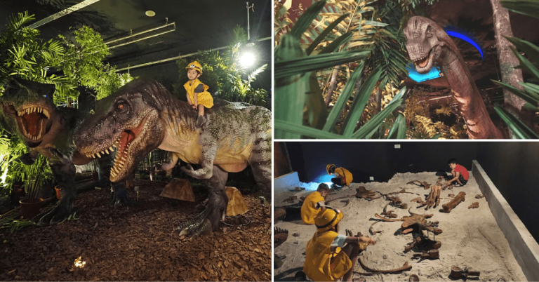 Trek through an indoor forest, meet dinosaurs & more at Dinoland