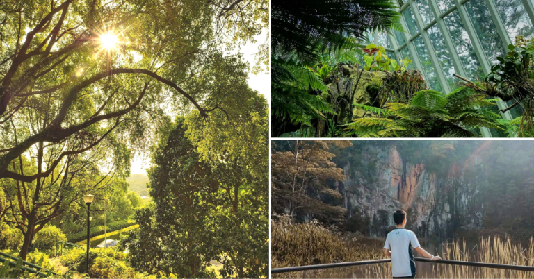 5 unique nature parks in Singapore for your next outdoors trip