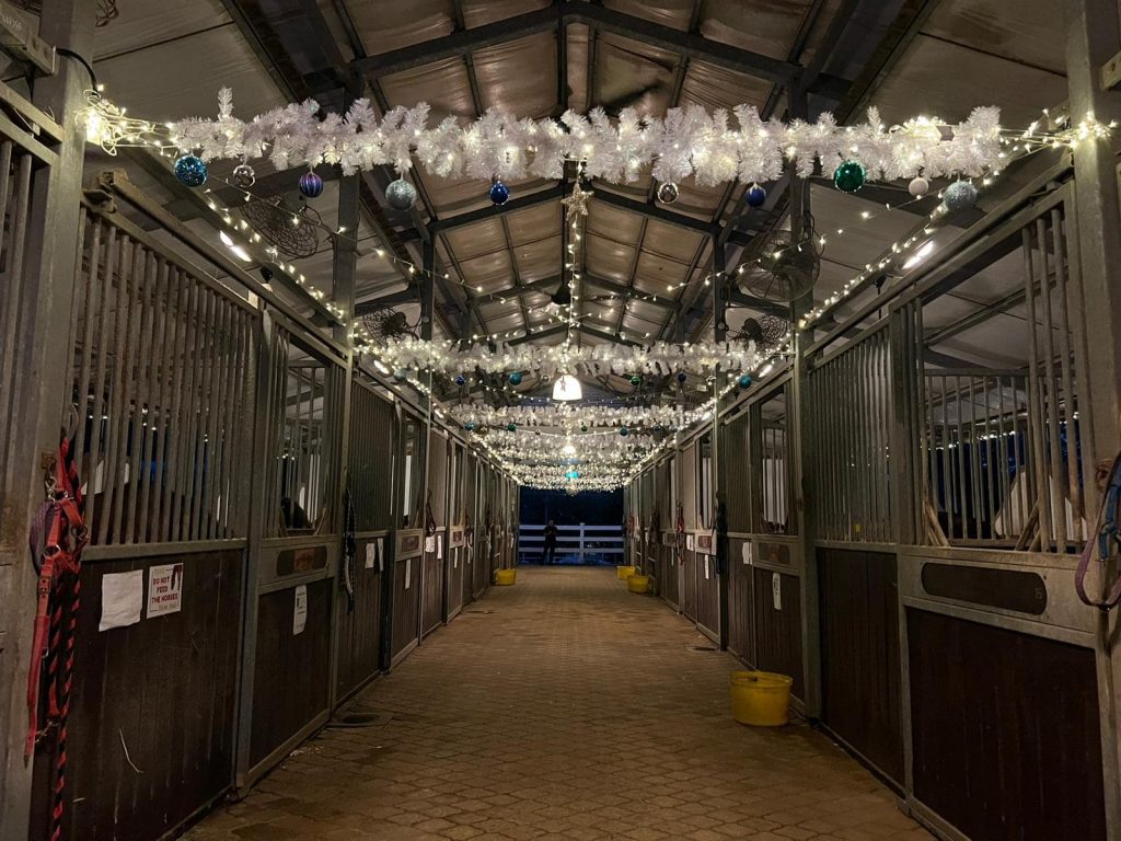 Meet friendly horses, unwind over good food & more at EQUAL’s Christmas ...