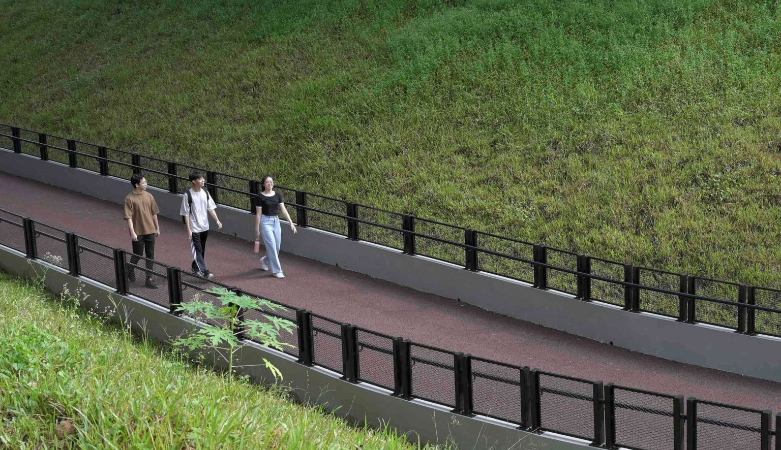 Rail Corridor (North) has scenic views, nature trails & more!