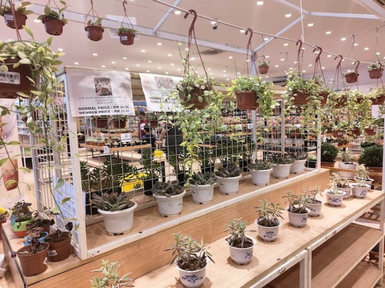 Ninso (Plentong) has household necessities for only S$0.70!