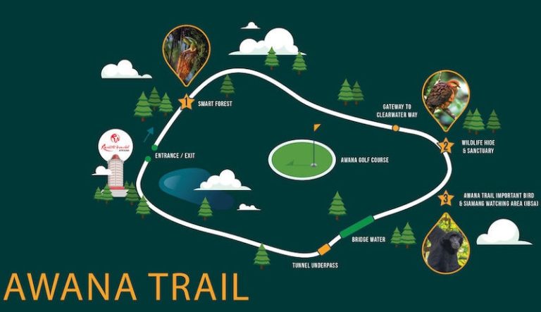 Level up your fitness with a guided hike in Genting Highlands!