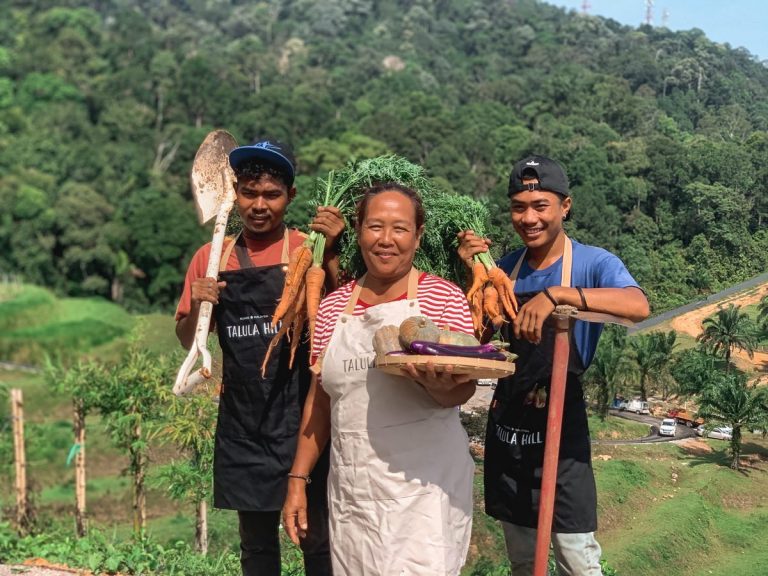 Talula Hill Farm Resort has mountain views, cute animals & more