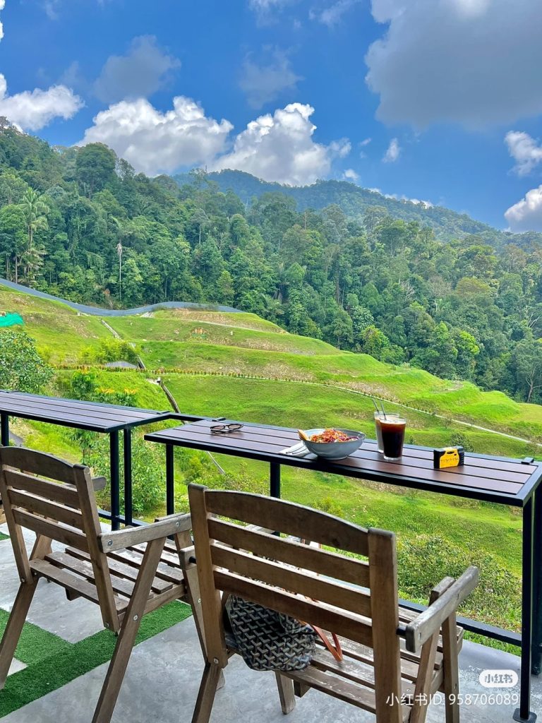 Talula Hill Farm Resort has mountain views, cute animals & more