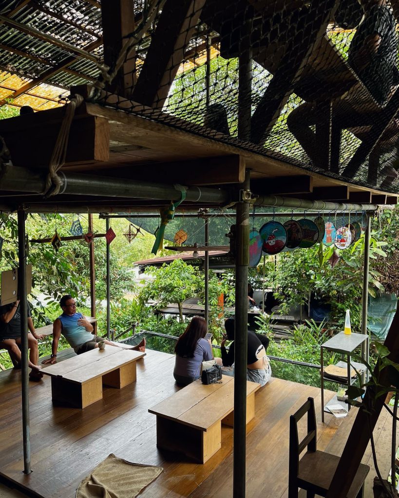 Chill with cats and sip on coffee in Rainforest Treehouse Cafe