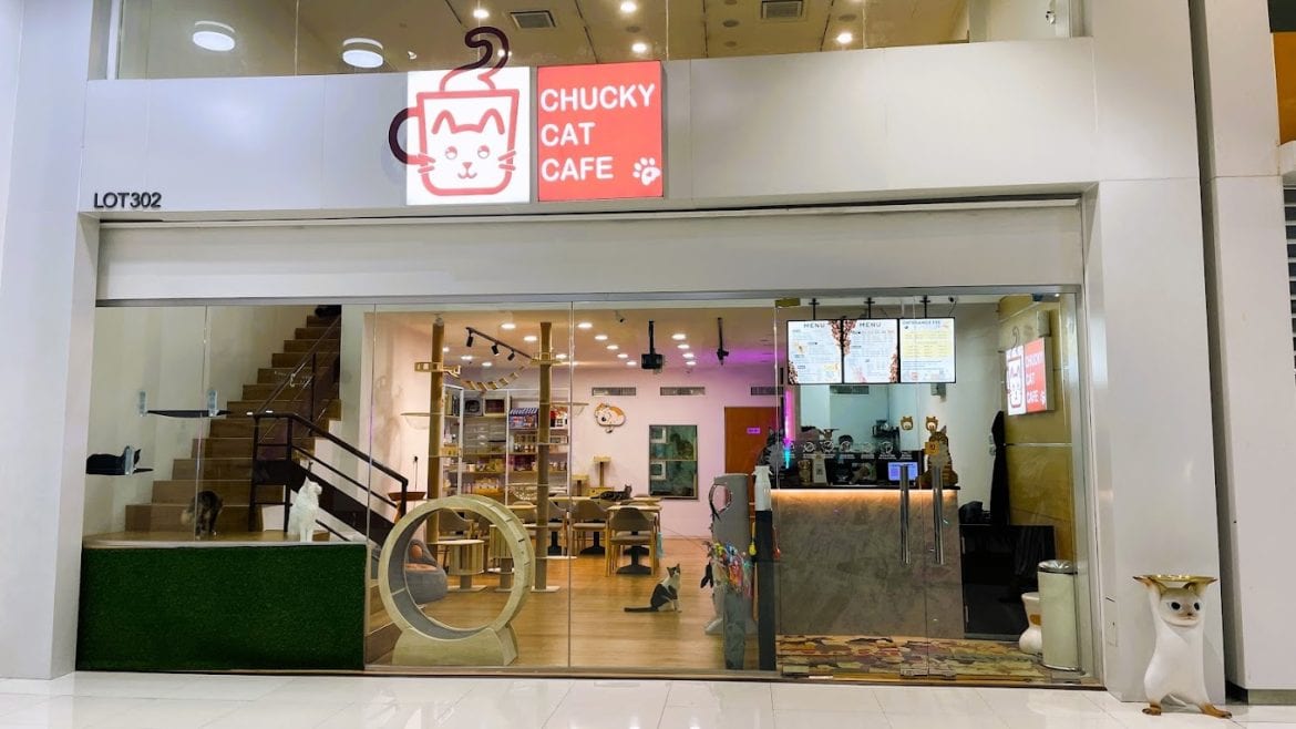 Chucky Cat Cafe in JB is a cat cafe located within a mall