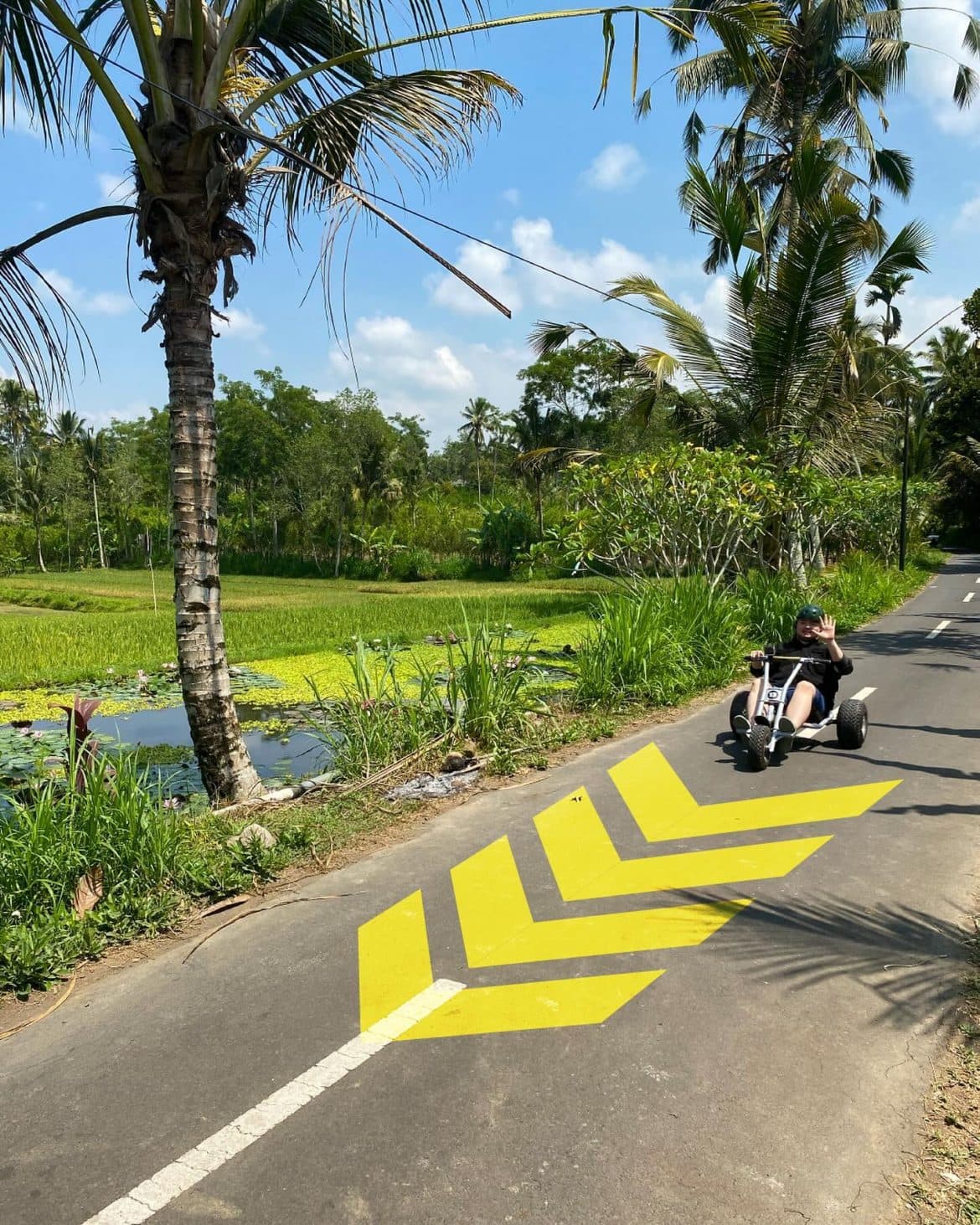 Race through scenic roads at this jungle carting spot in Bali