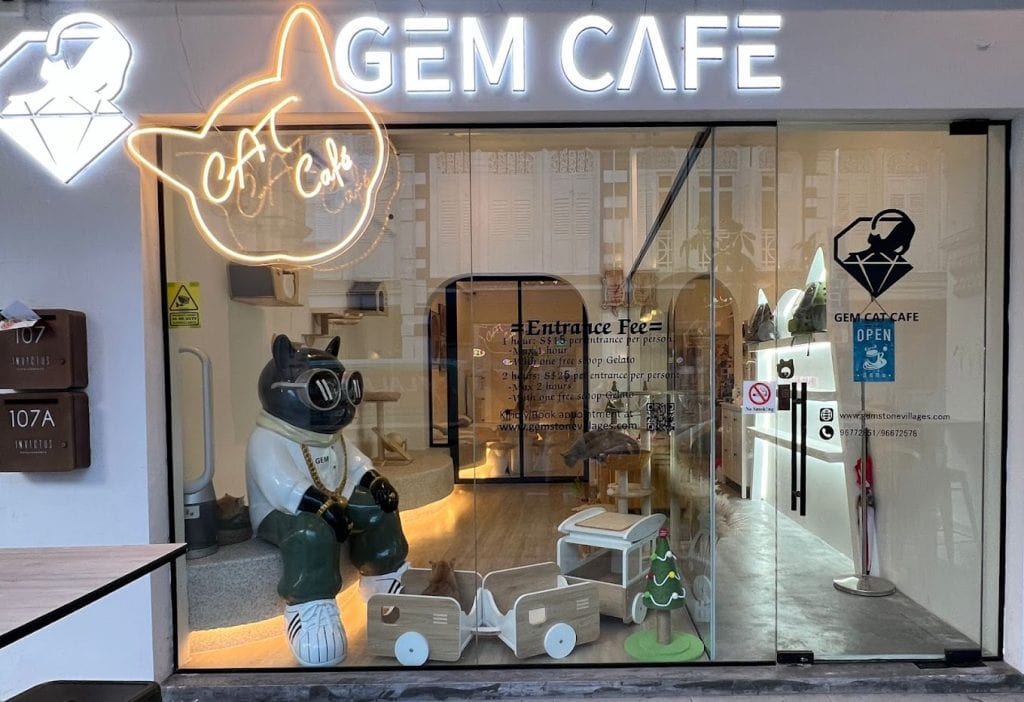 Gem Cat Cafe has chonky British Shorthairs and free ice cream