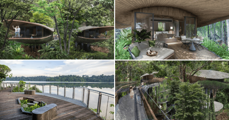 Mandai Rainforest Resort will be opening in 2025
