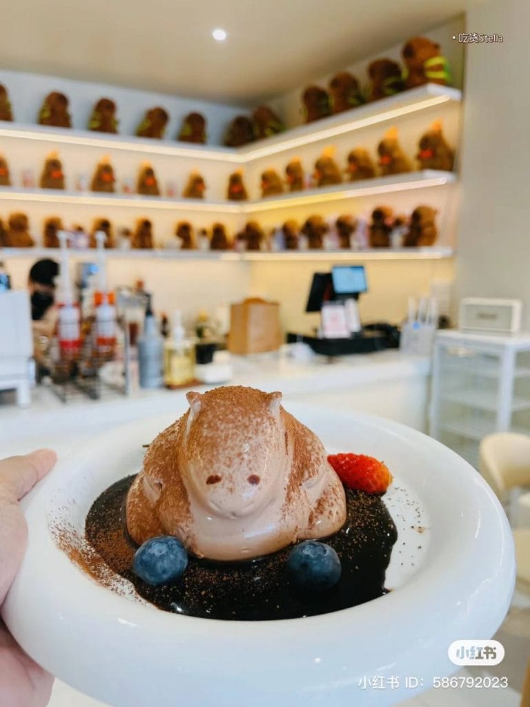 Capyba Cafe is JB’s first cafe with adorable baby capybaras