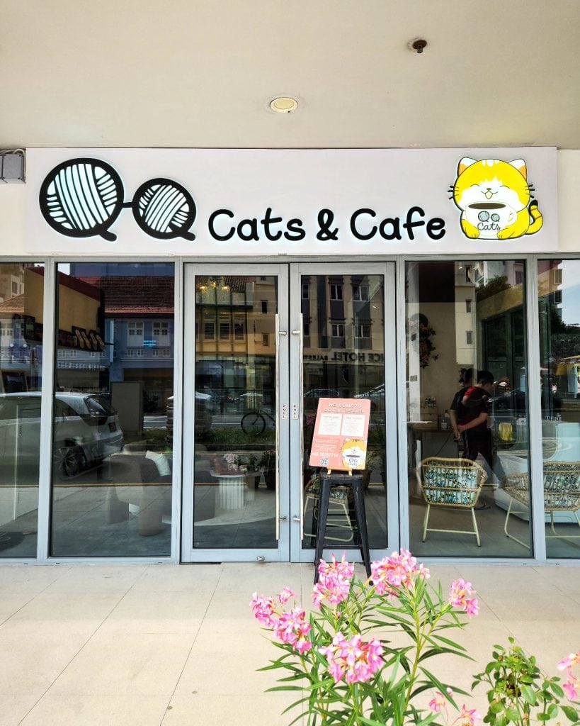 QQ Cats & Cafe is a new two-storey cat cafe in Balestier