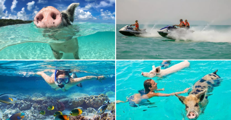 There’s an island off the coast of Koh Samui in Thailand where you can ...