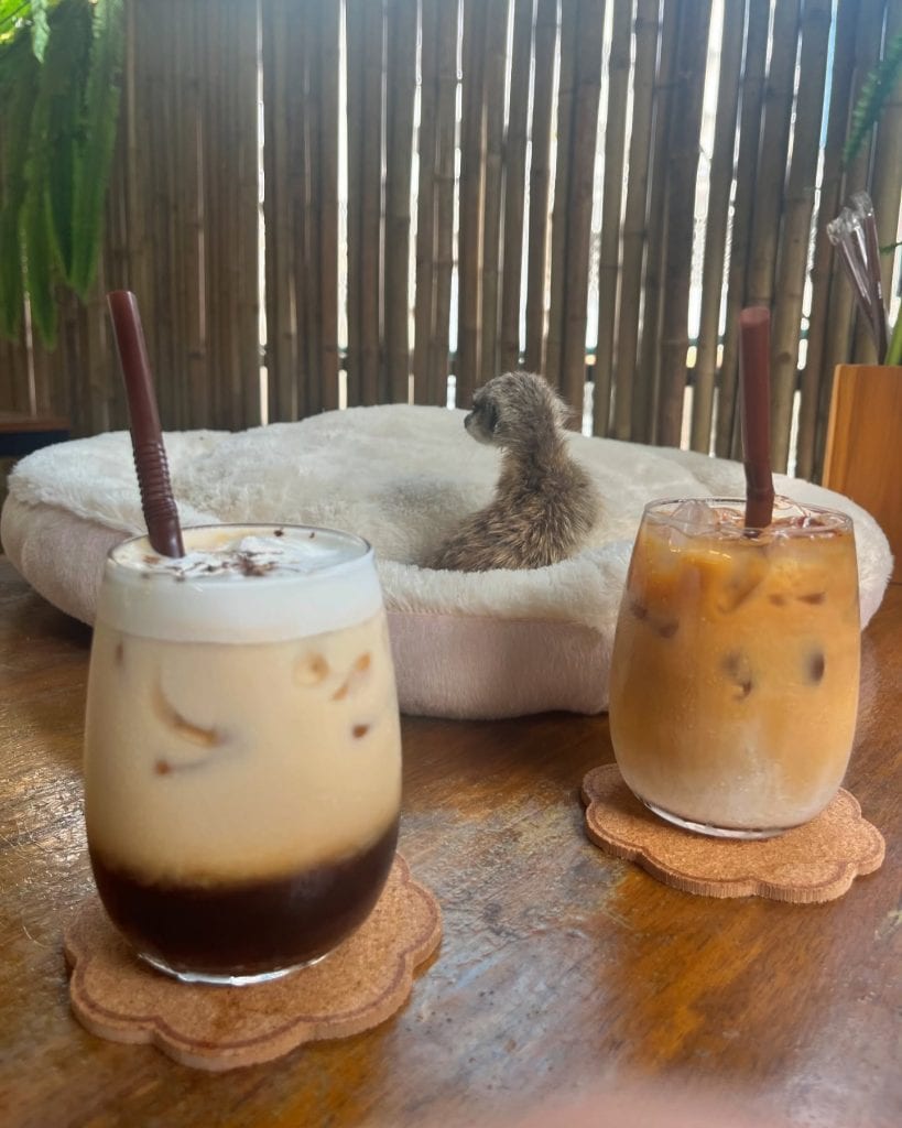 Capybara Coffee opens third outlet in Bangkok