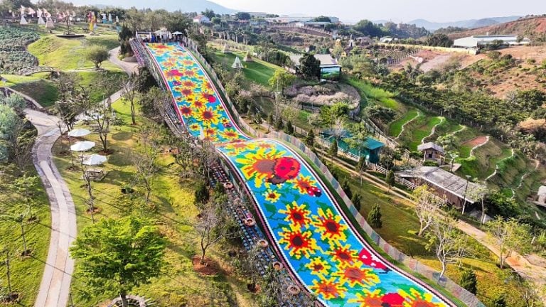 Mongo Land has Vietnam's largest dry slide, petting zoo and more